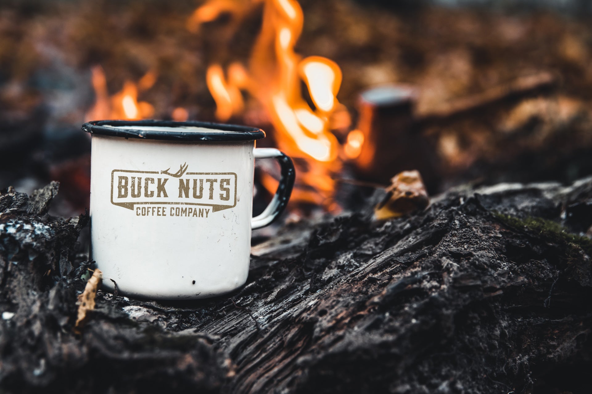 About Us – Bucknuts Coffee