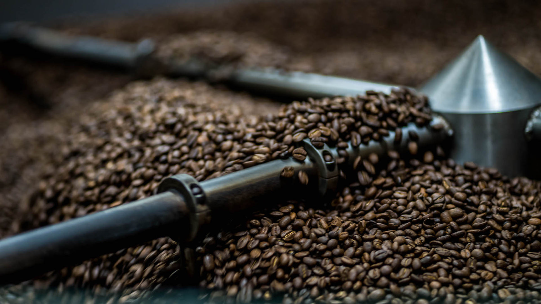 About Us – Bucknuts Coffee